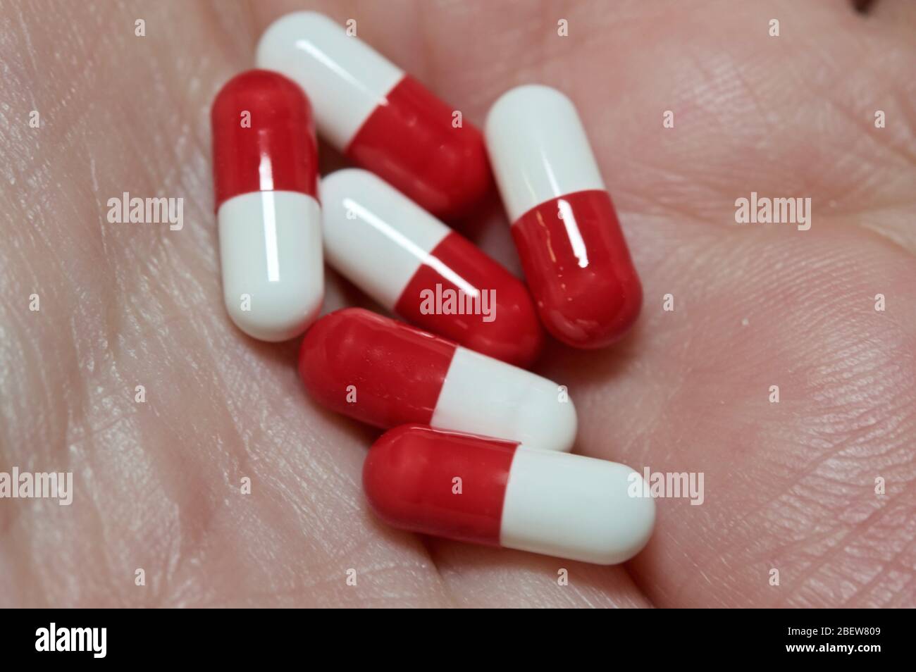 White and red capsules in macro view on hands Stock Photo - Alamy