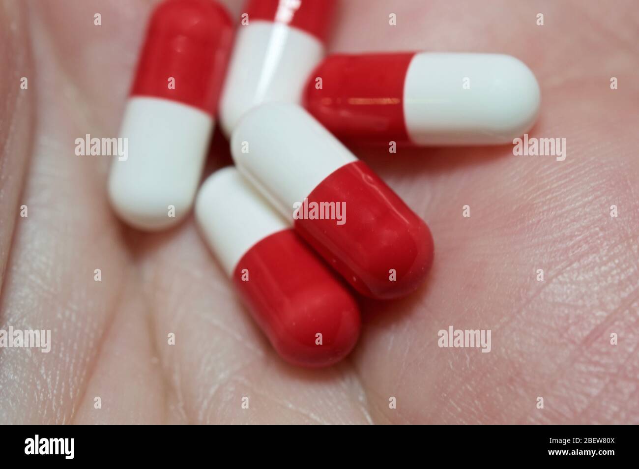 White and red capsules in macro view on hands Stock Photo - Alamy
