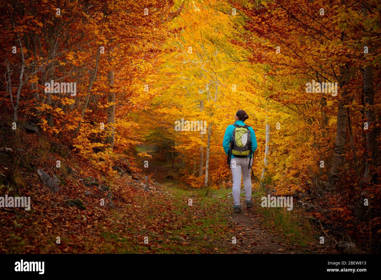 Beautiful woman hiking hi-res stock photography and images - Alamy