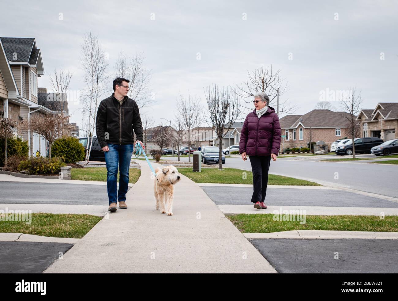 Family walking dog suburb hi-res stock photography and images - Alamy