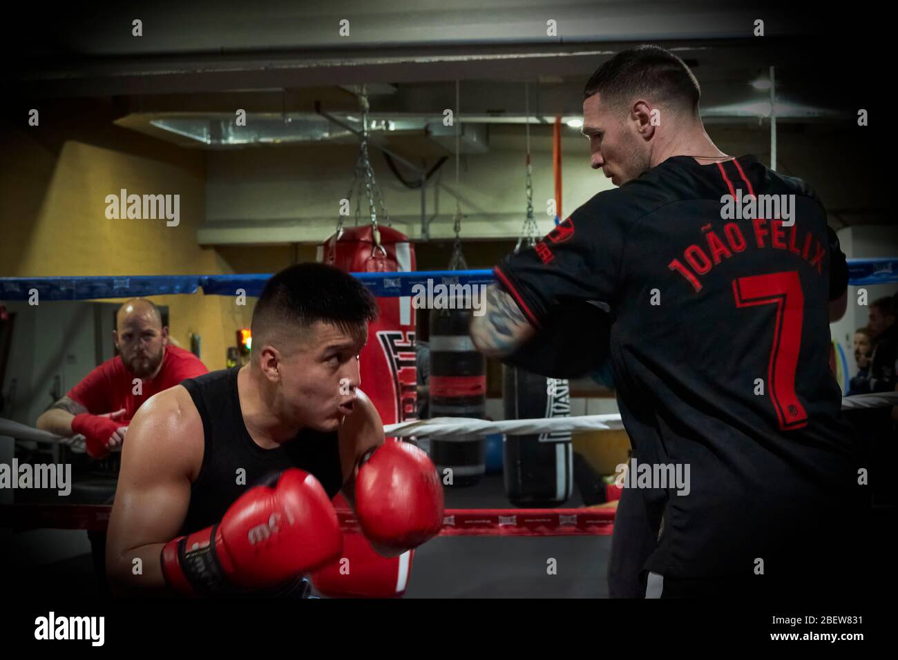 Parla, Madrid, Spain; February 19 2020: Determined male boxers ...