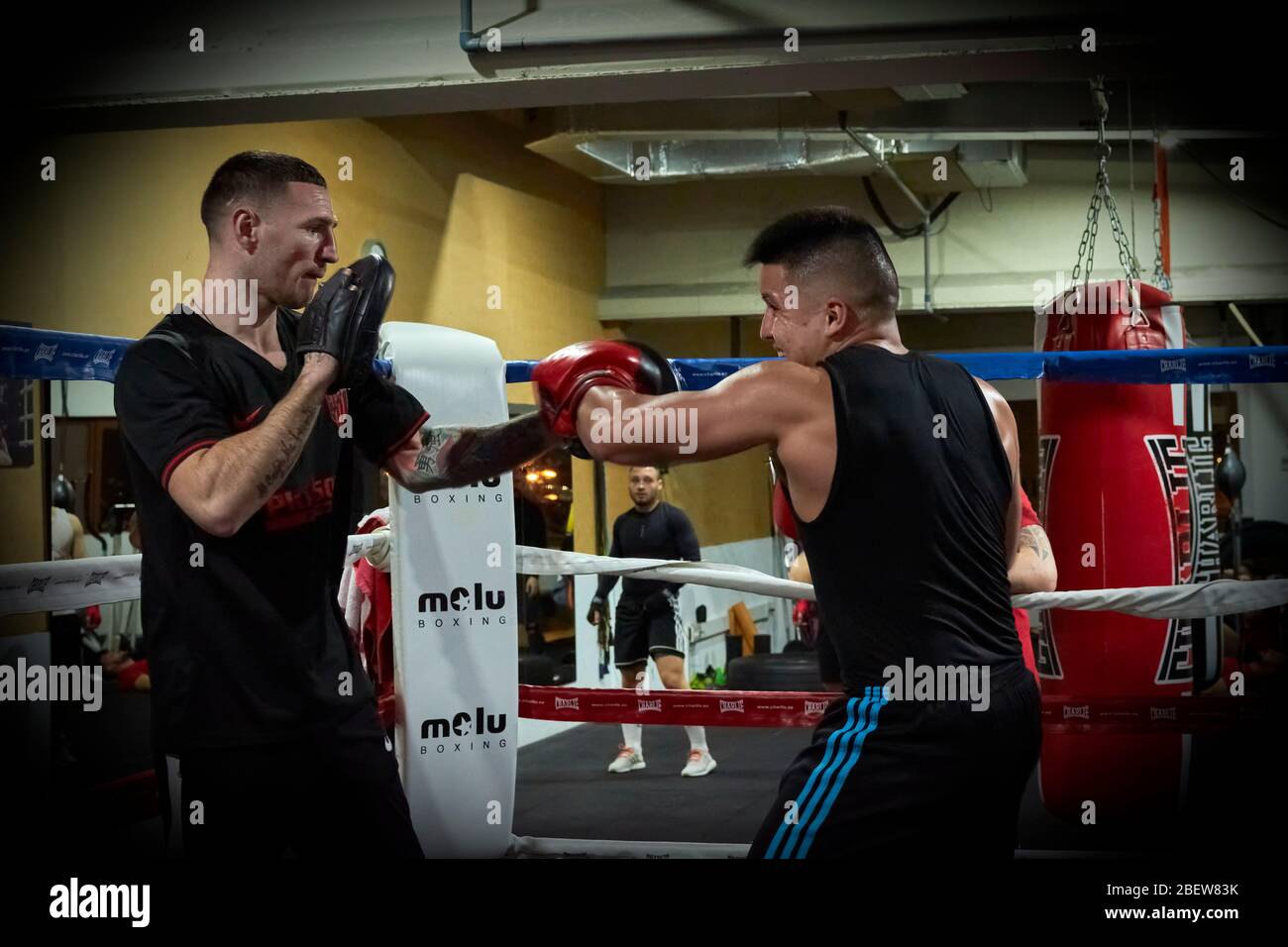 Parla, Madrid, Spain; February 19 2020: Determined male boxers ...
