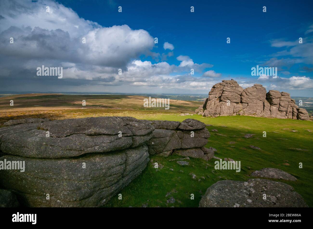 Dartmoor national park haytor hi-res stock photography and images - Alamy