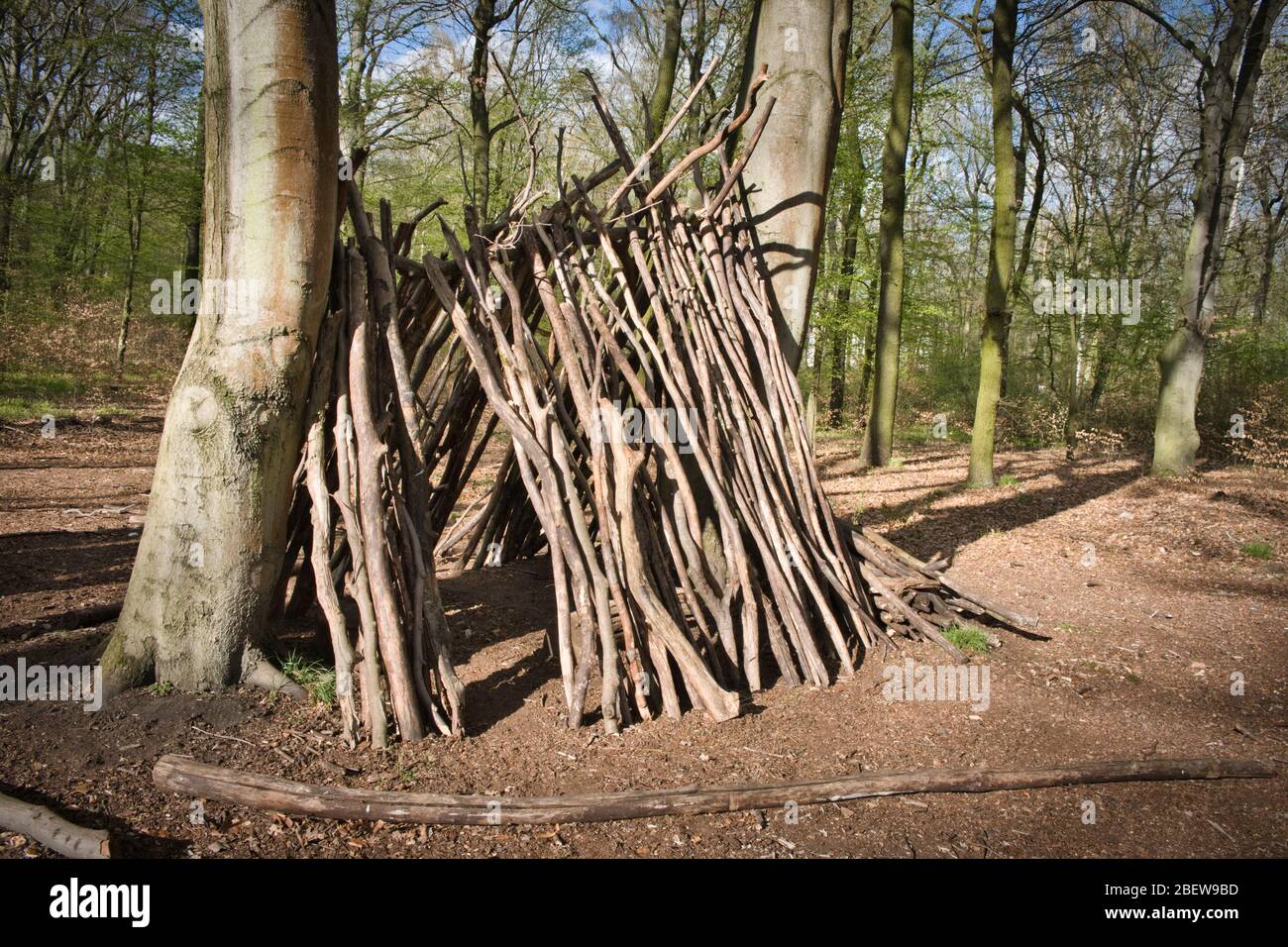 Hut of twigs and branches Stock Photo - Alamy