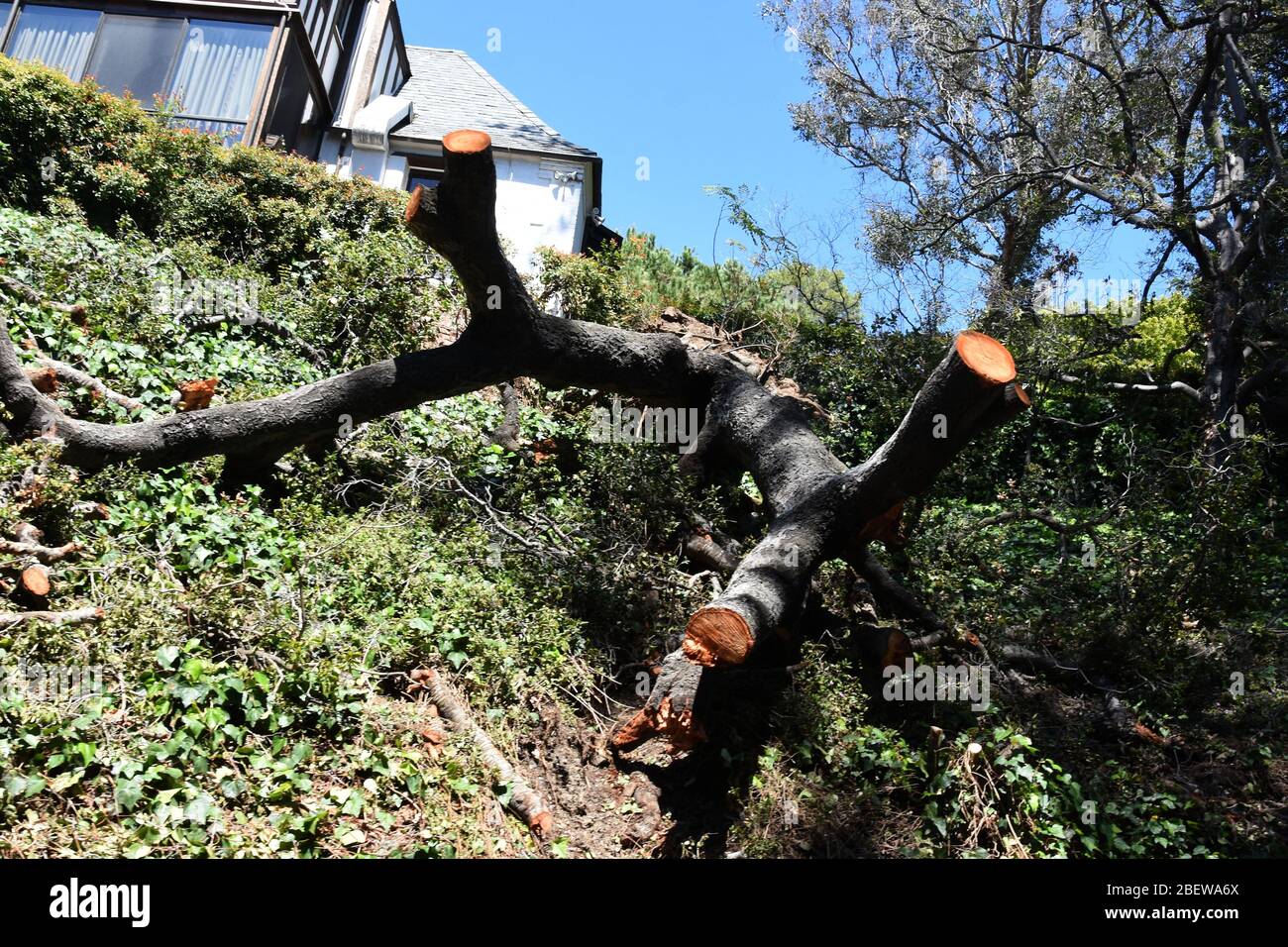 Beverly Hills, California, USA 15th April 2020 A general view of ...