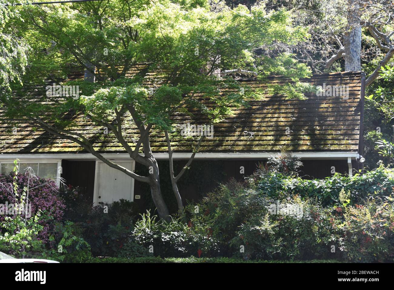 George Reeves House Address