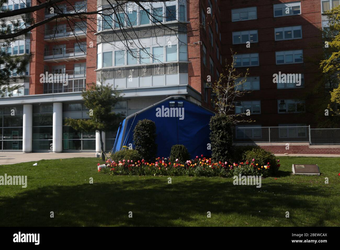 Kings county hospital hi-res stock photography and images - Alamy