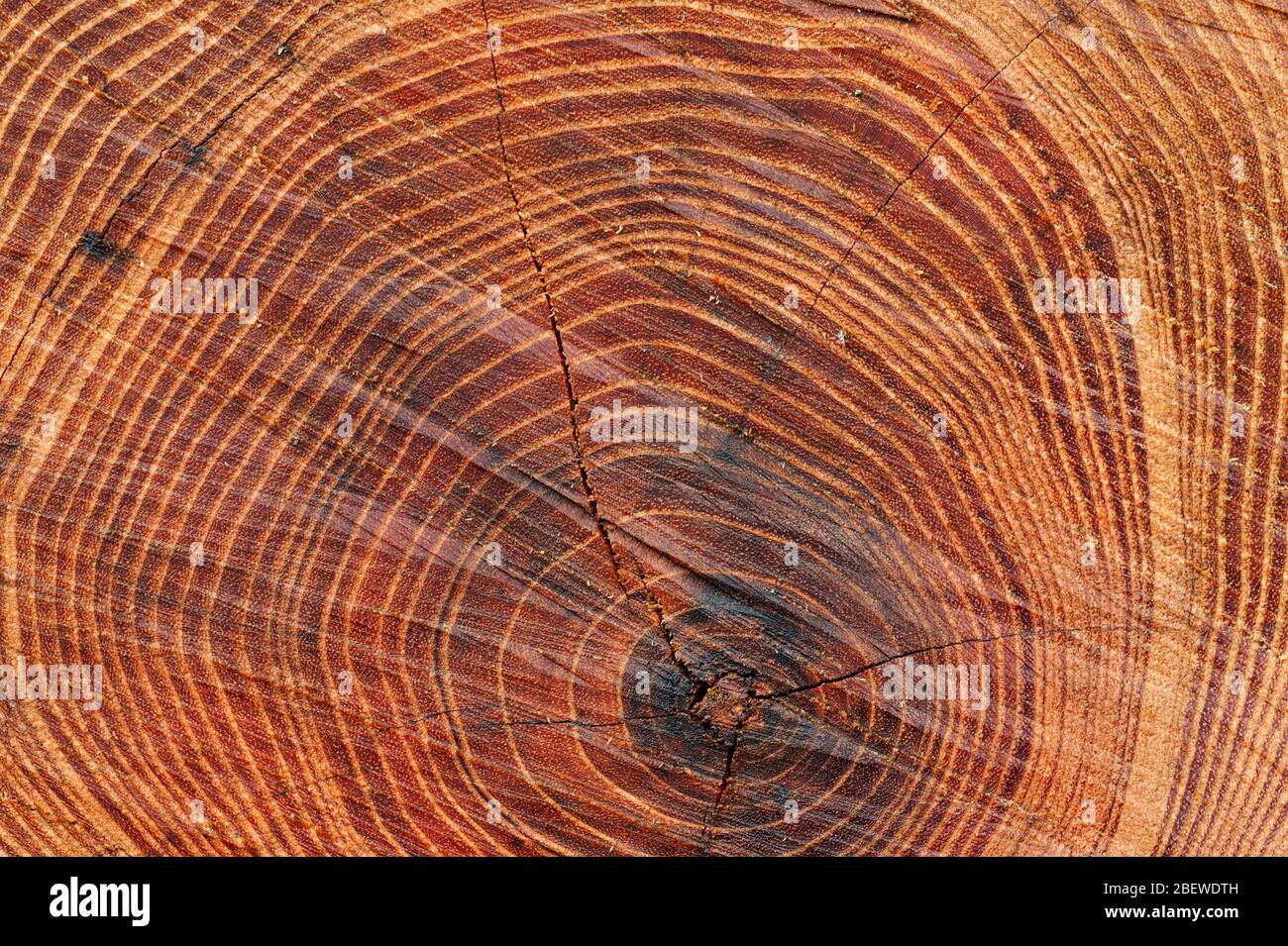 Circular rings hi-res stock photography and images - Alamy