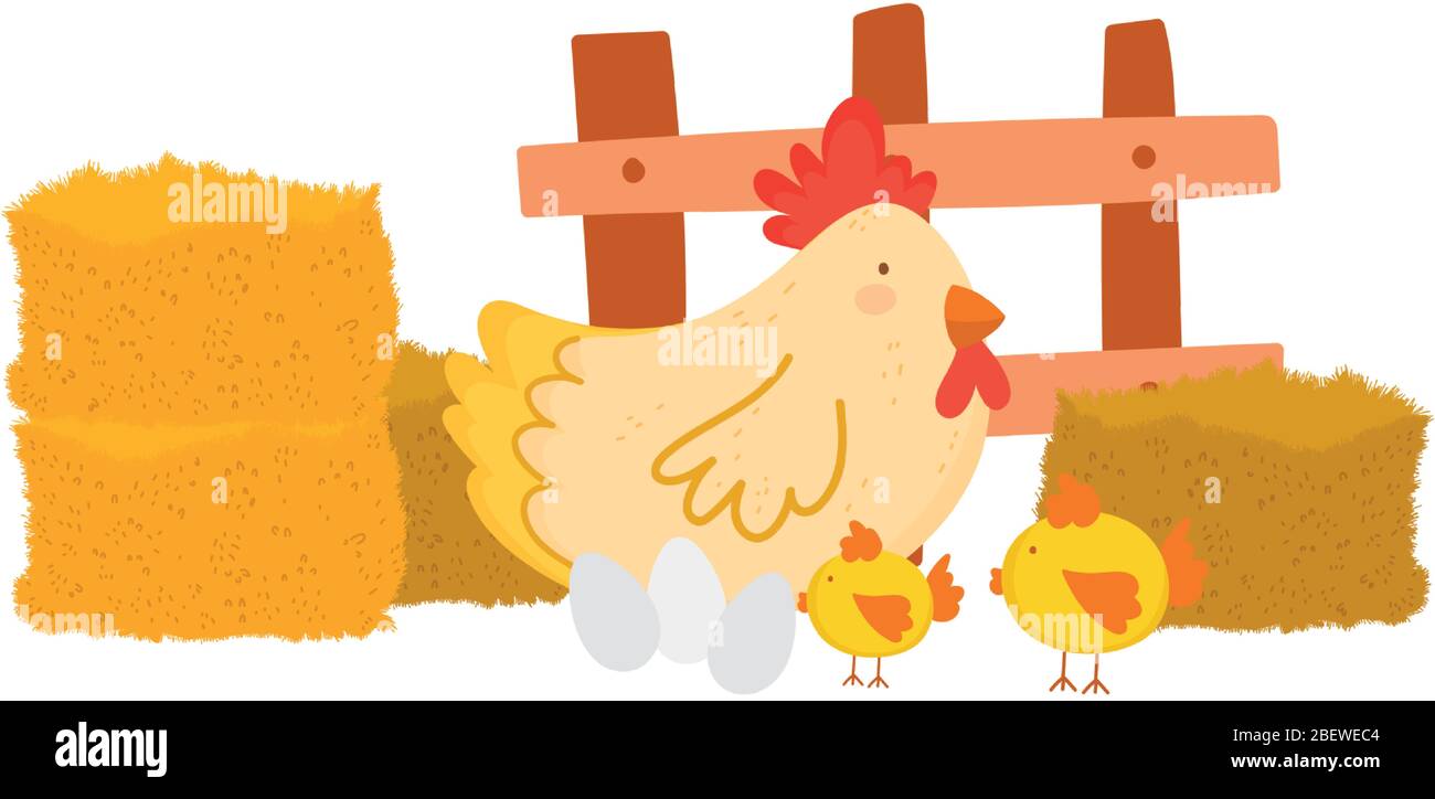 farm animals hen chicken eggs wooden fence cartoon vector illustration ...