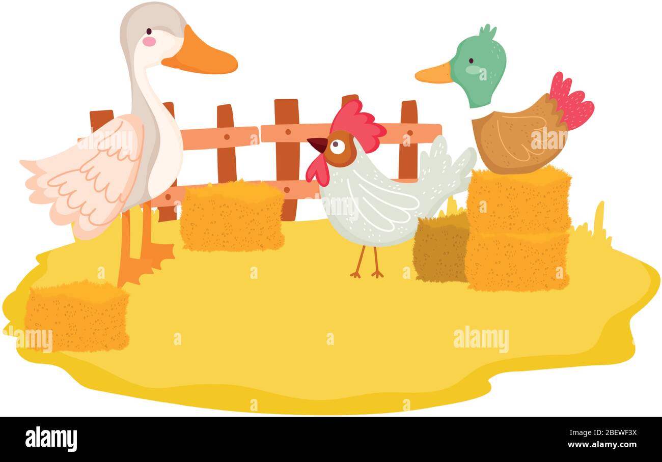 farm animals duck goose and rooster stack of hay cartoon vector ...