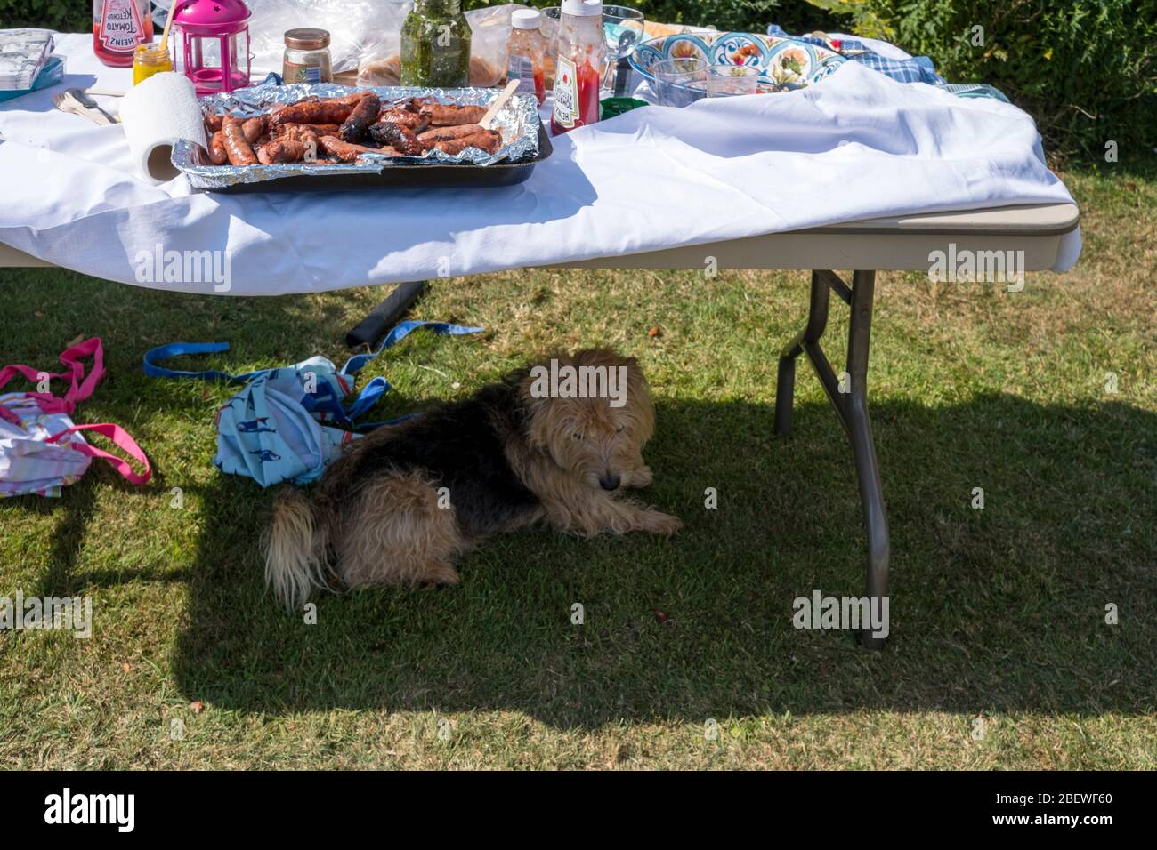 Picnic sun shade hi-res stock photography and images - Alamy