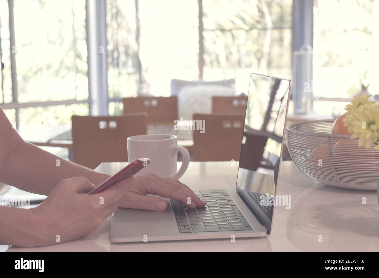 Woman using laptop stay home hi-res stock photography and images - Alamy