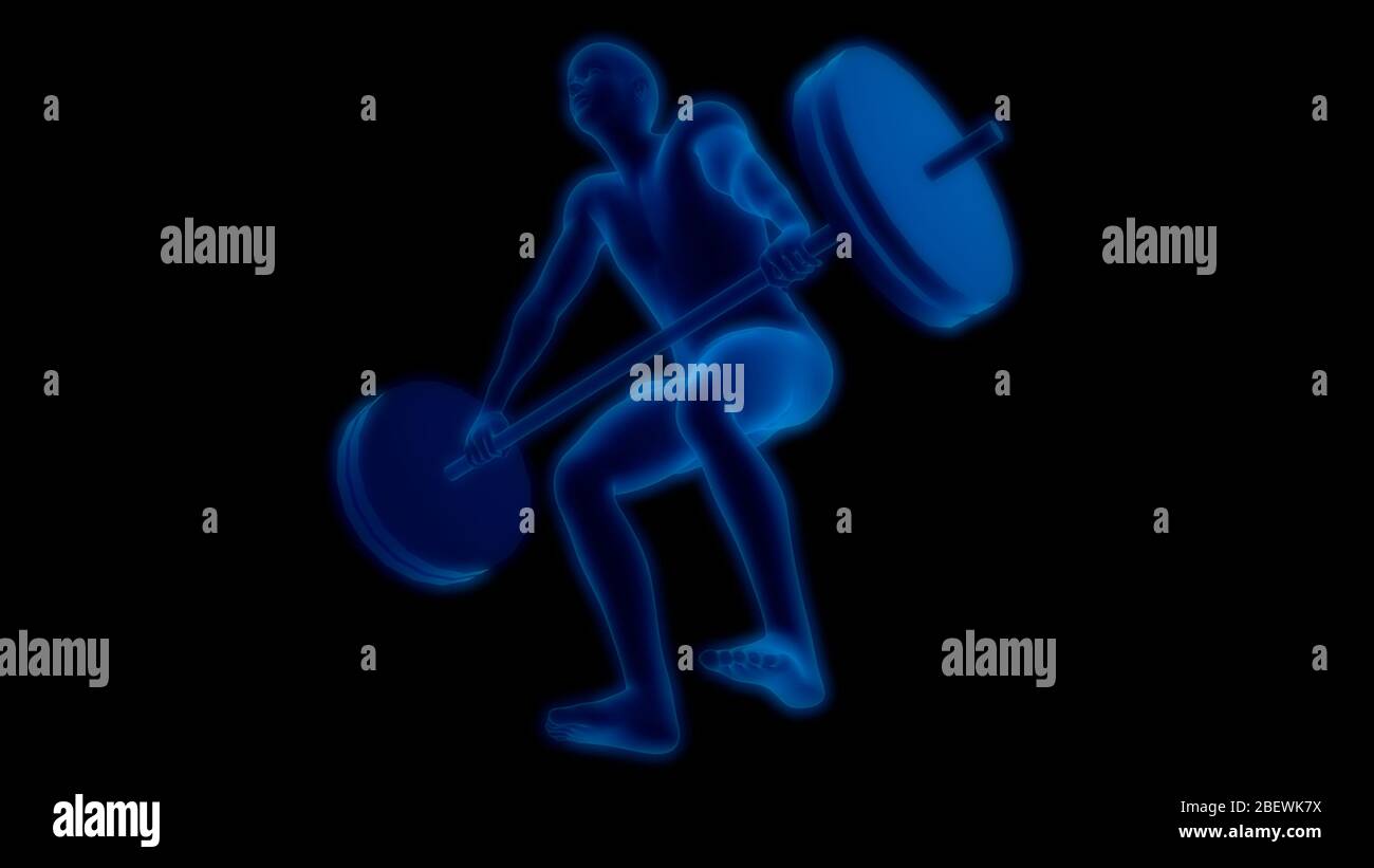 Human Lifting Heavy Barbell with Weights Anatomy Stock Photo - Alamy