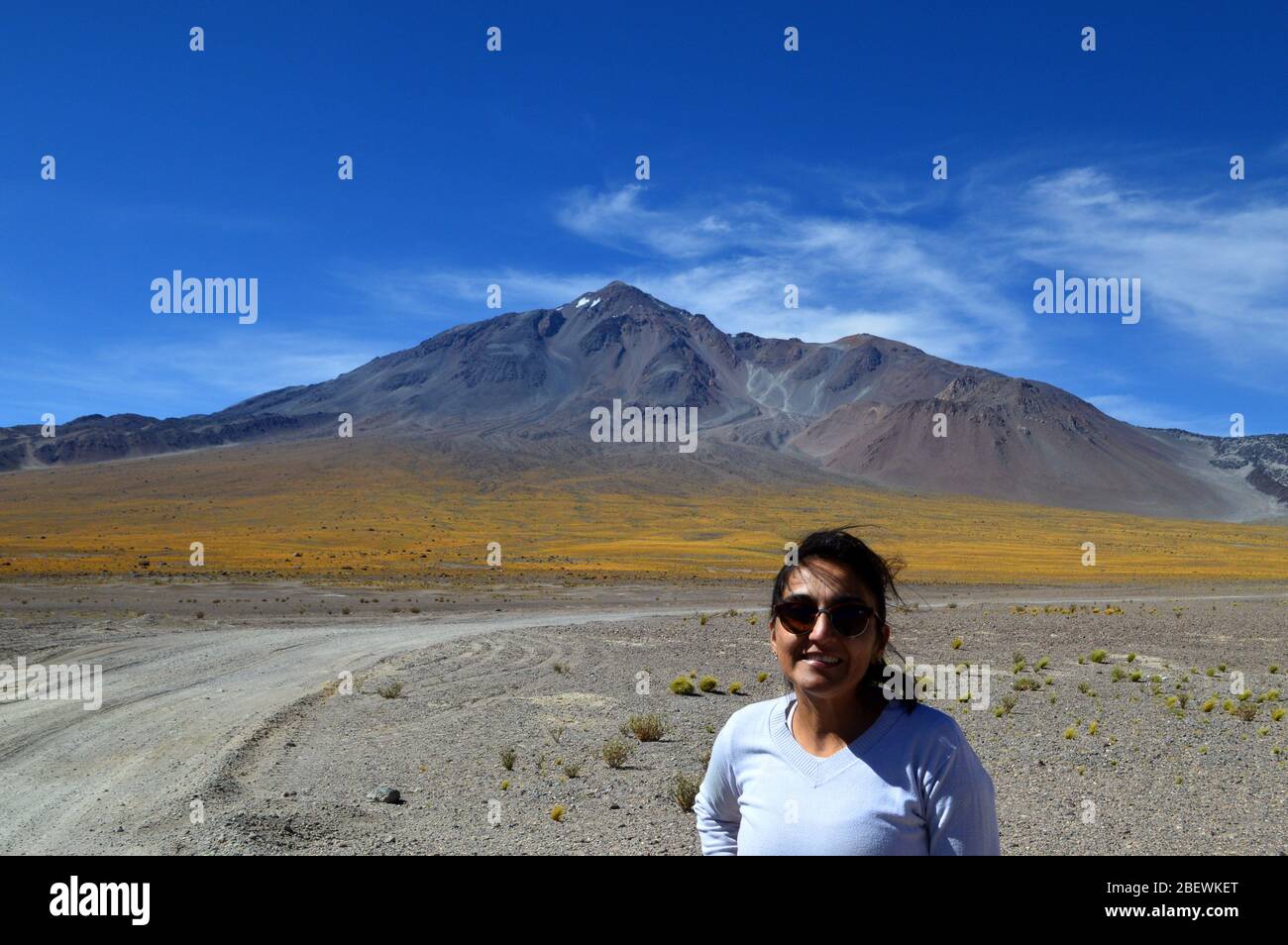 Socompa volcano hi-res stock photography and images - Alamy