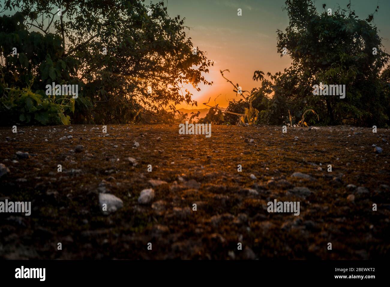 Beautiful colorful sunset taken from camera on the ground Stock Photo ...