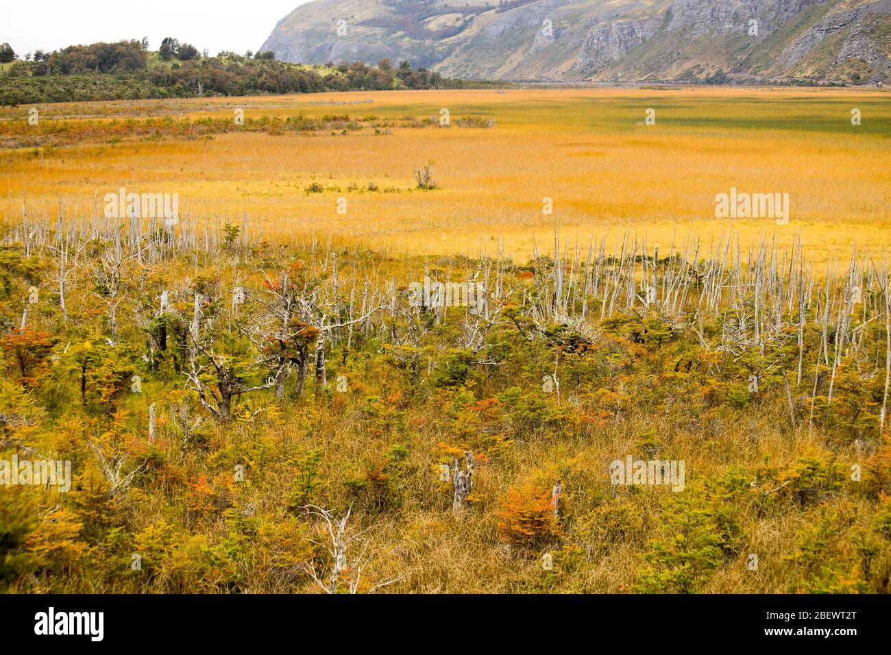 Colors of the autumn natural landscape of Chilean Patagonia between ...