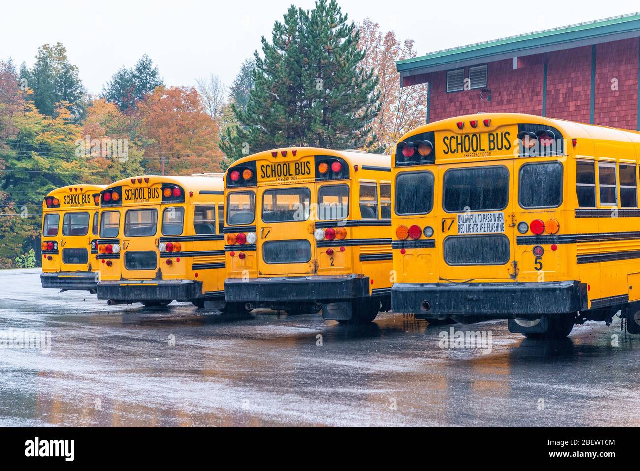 Row of school buses aligned and parked Stock Photo - Alamy