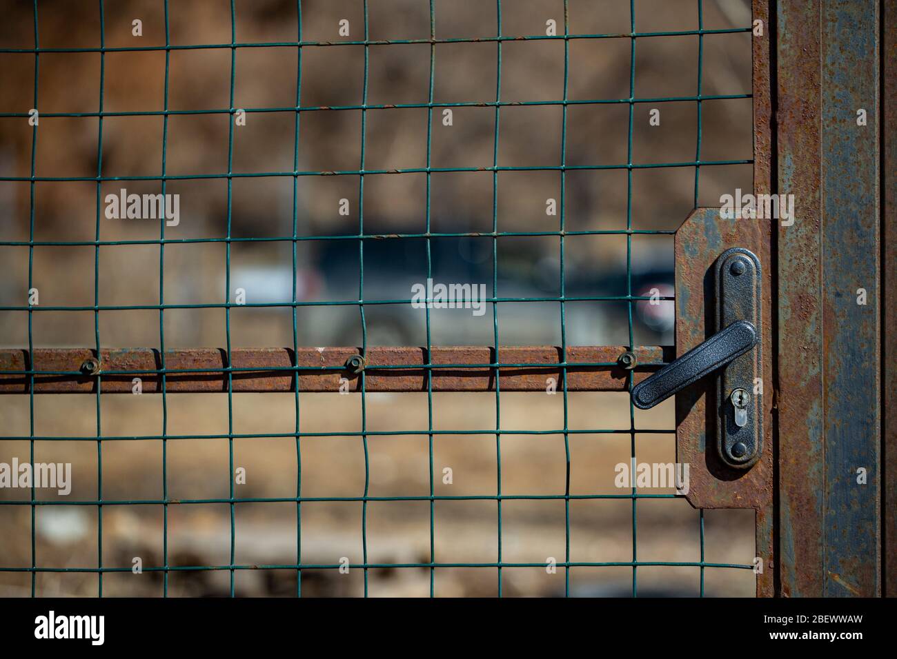 Rusty door, gate closed on a handle-lock with a metal mesh on the ...