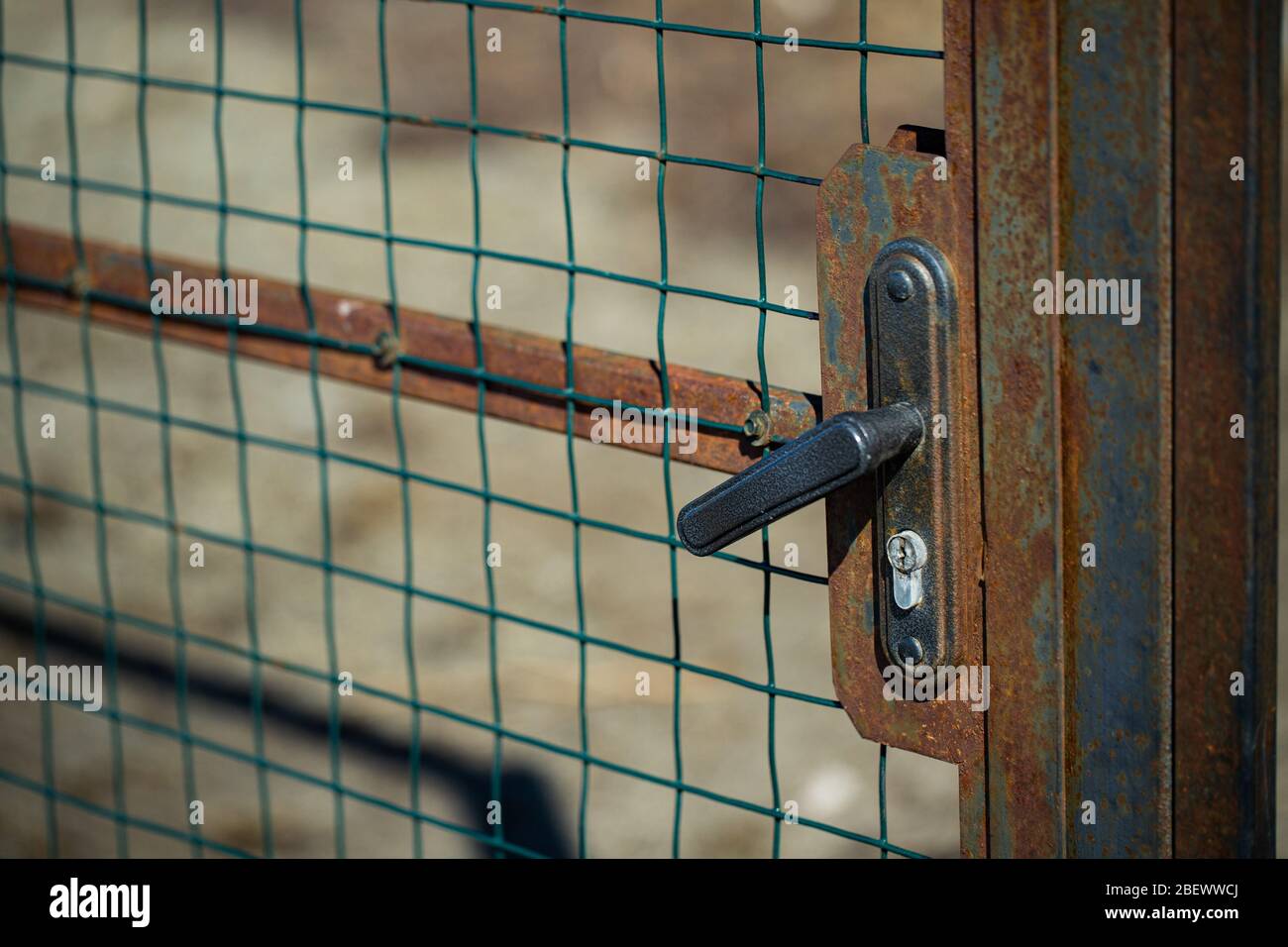 Rusty door, gate closed on a handle-lock with a metal mesh on the ...