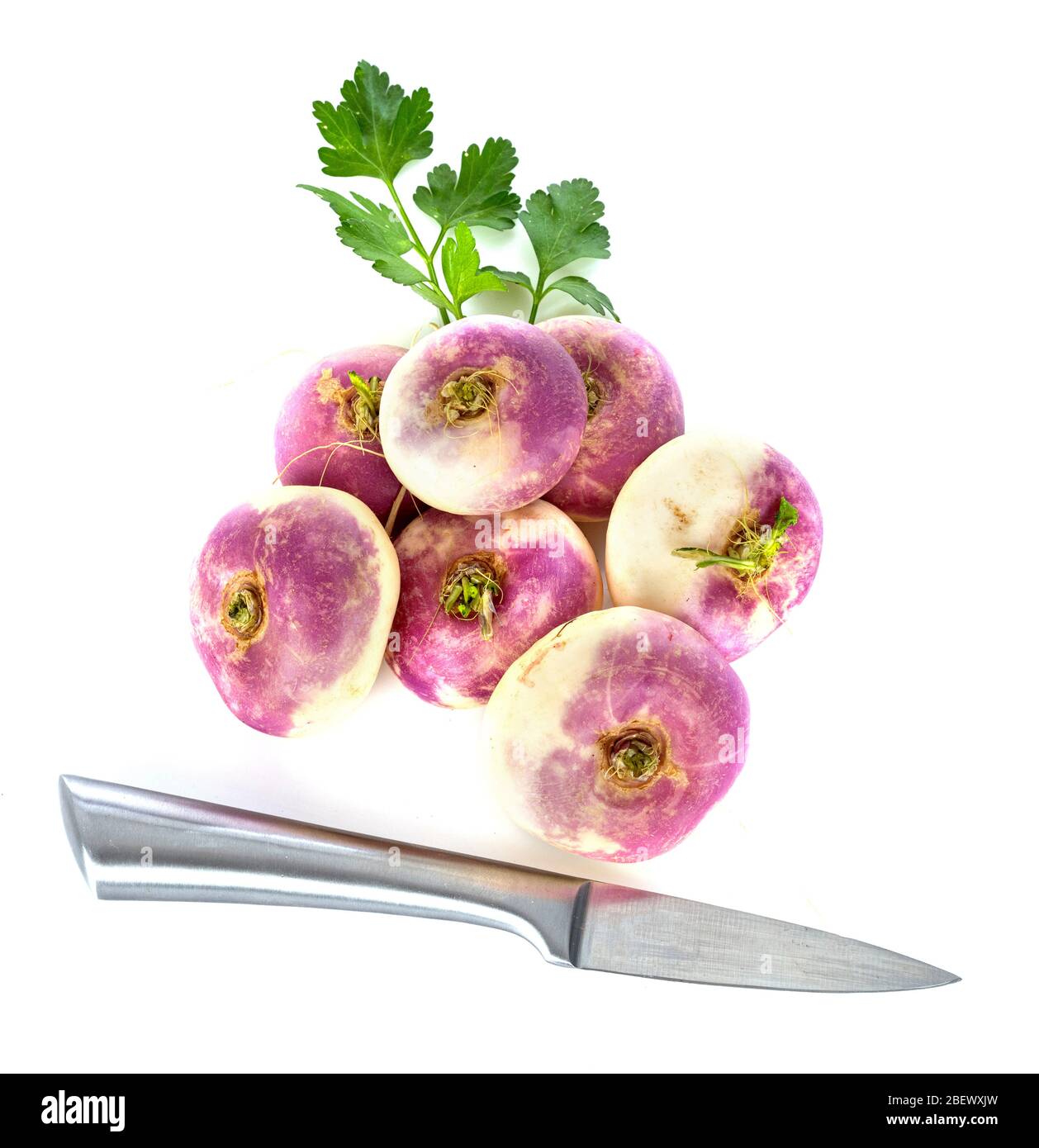 fresh turnip in front of white background Stock Photo - Alamy
