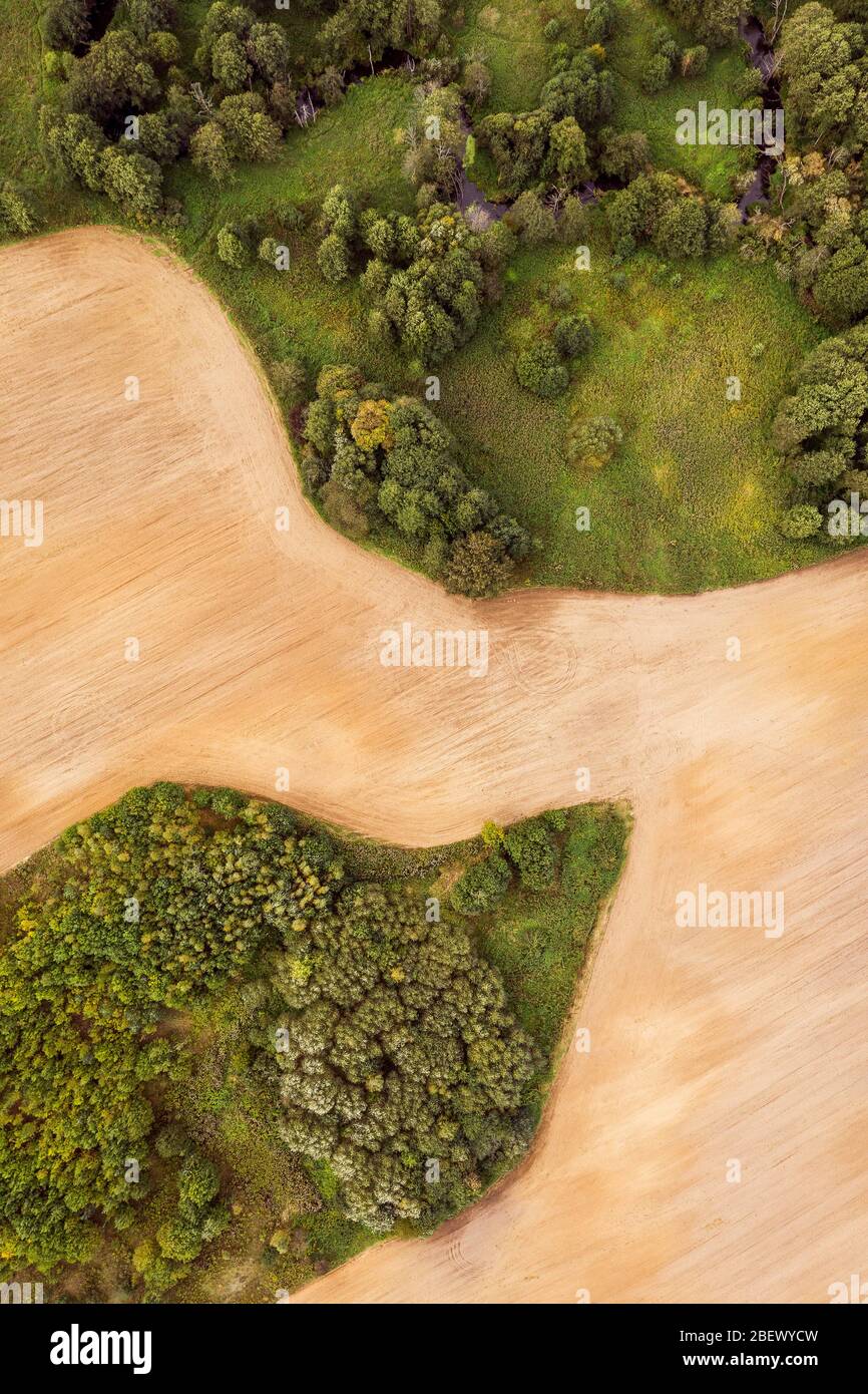 Aerial view on plowed field with forest patches. Freshly plowed sandy ...