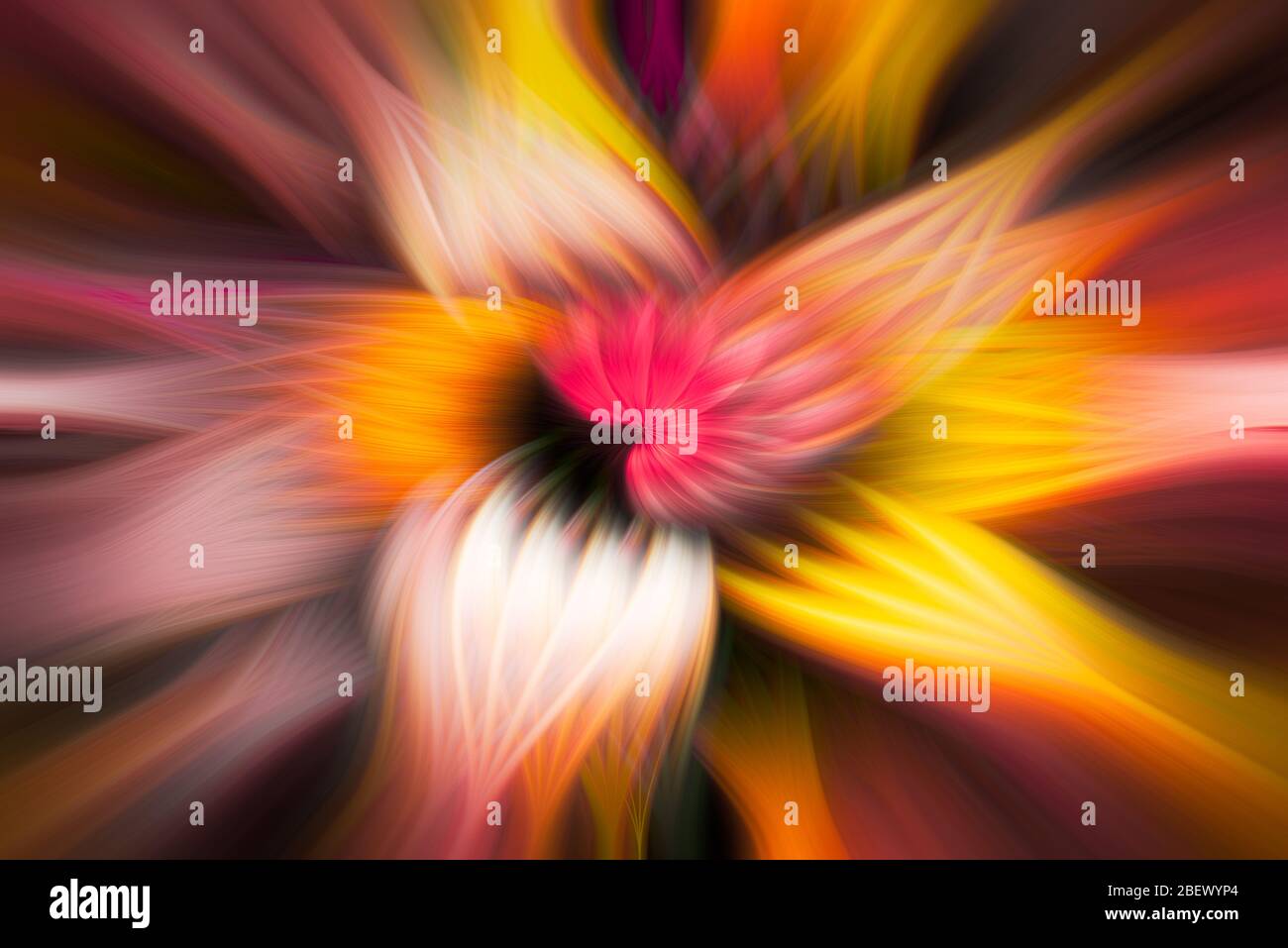 Abstract flower design hi-res stock photography and images - Alamy