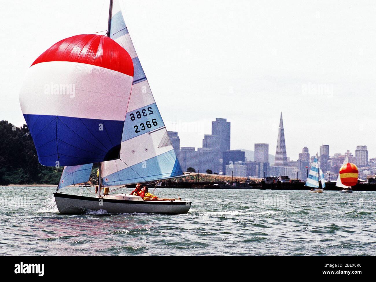1982 - A sail boat, with spinnaker billowing, takes part in the ...