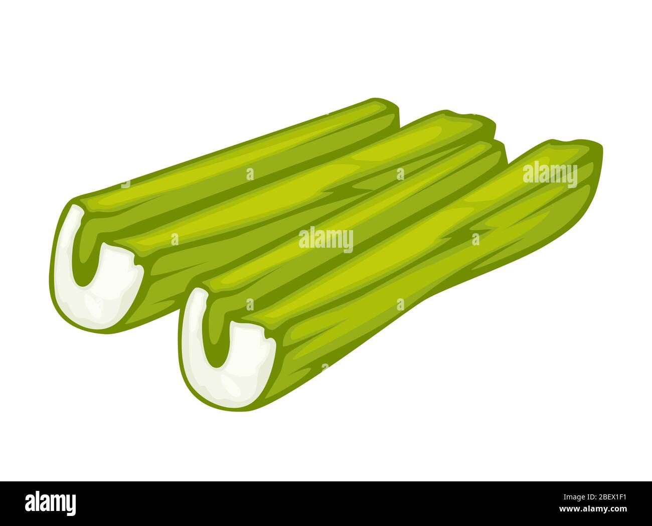 Celery sliced Stock Vector Images - Alamy