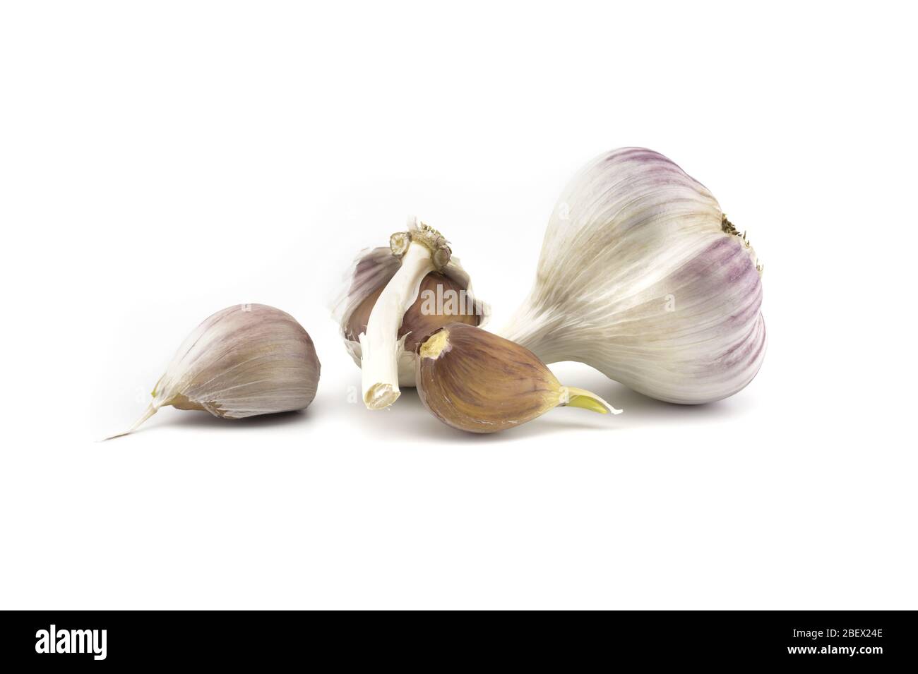 Garlic bulbs and cloves in close-up isolated on white background Stock ...