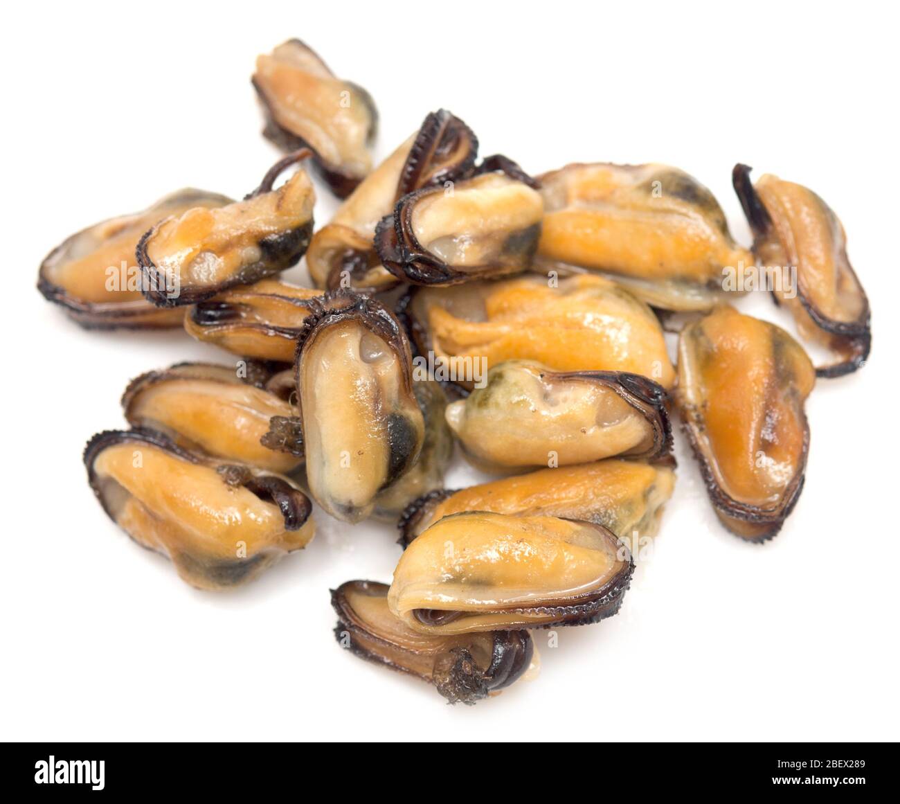 Raw mussels closeup Cut Out Stock Images & Pictures - Alamy