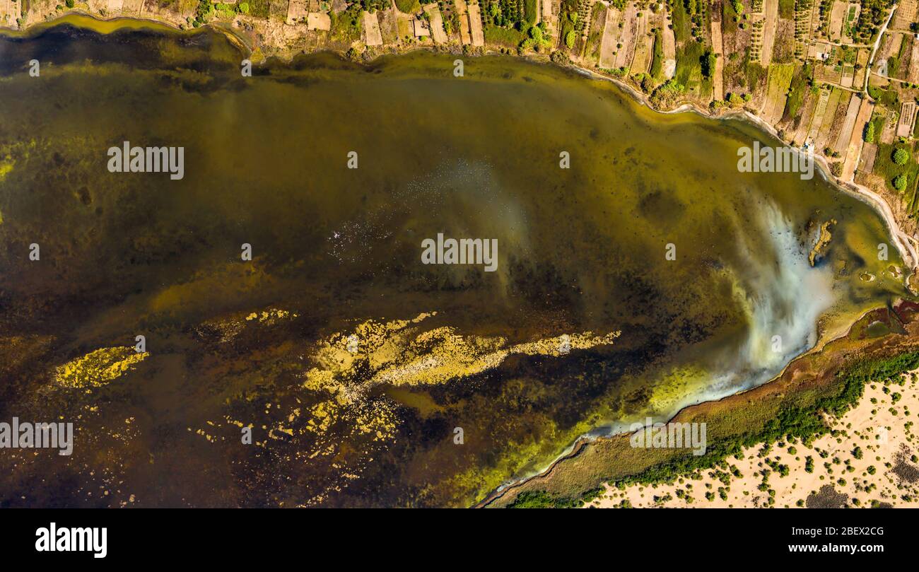 Aerial of flamingo reserve in mediterranean island Corfu. Pink ...