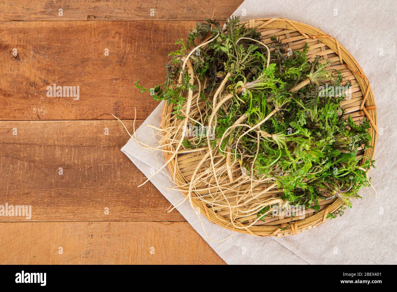Spring vegetables and herbs, close up of nutritious greens sprouting in ...