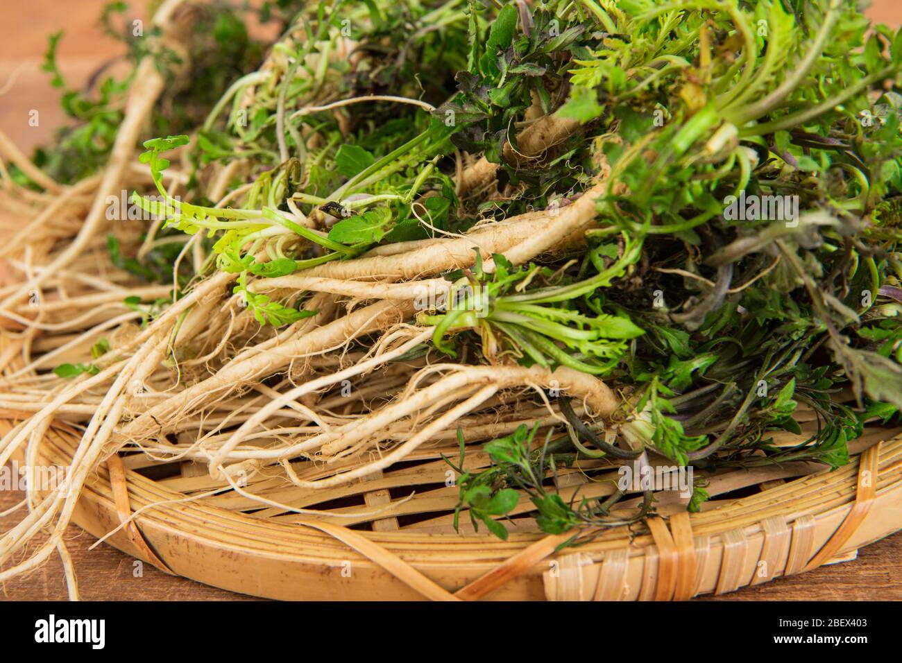 Spring vegetables and herbs, close up of nutritious greens sprouting in ...