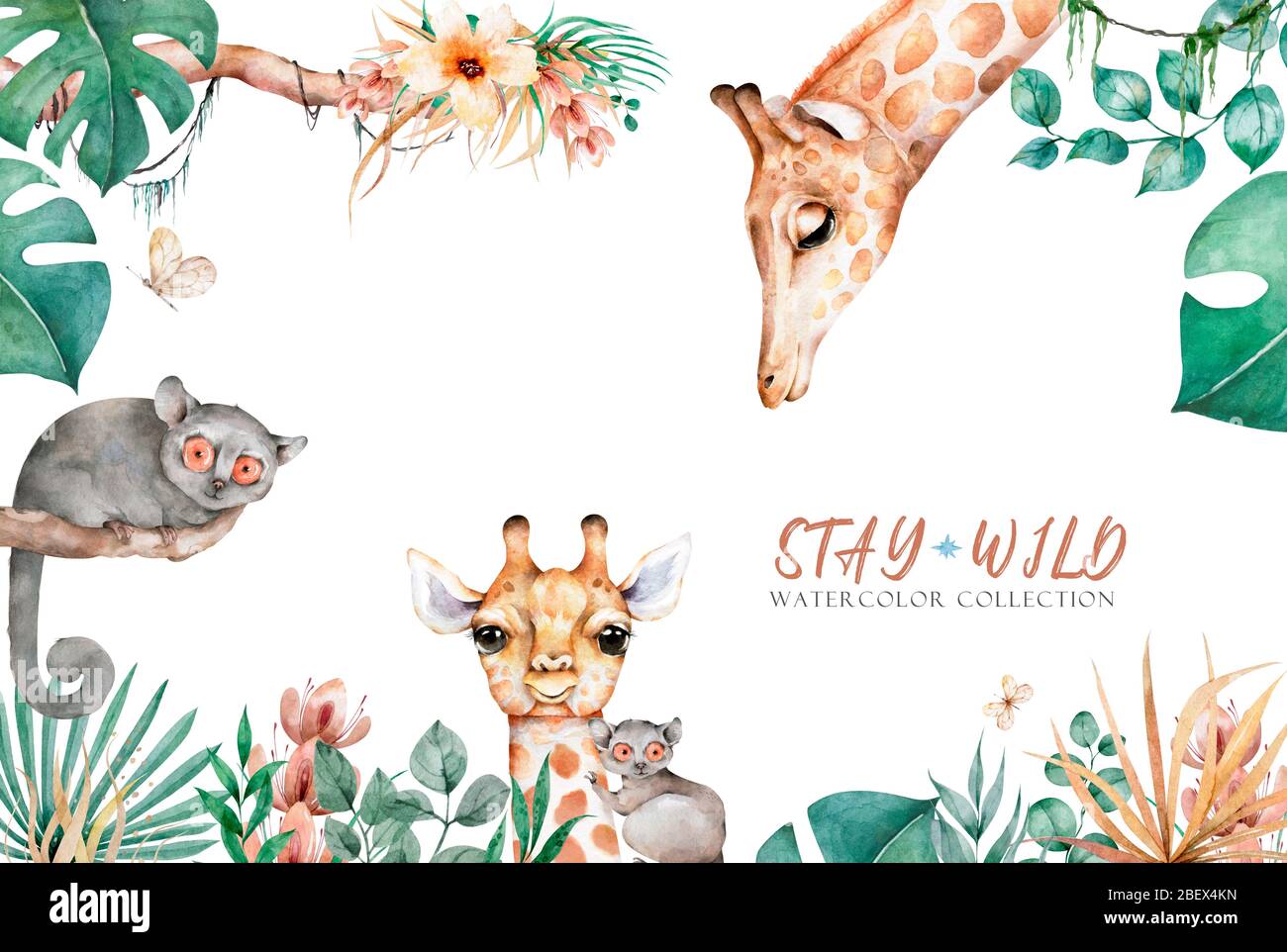 Hand drawn watercolor illustration of cute giraffe and tropical leaves ...