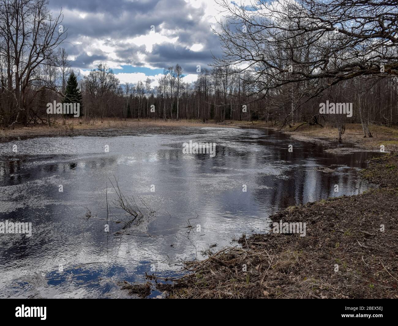 landscape with a small wild river, river banks covered with dry, old ...