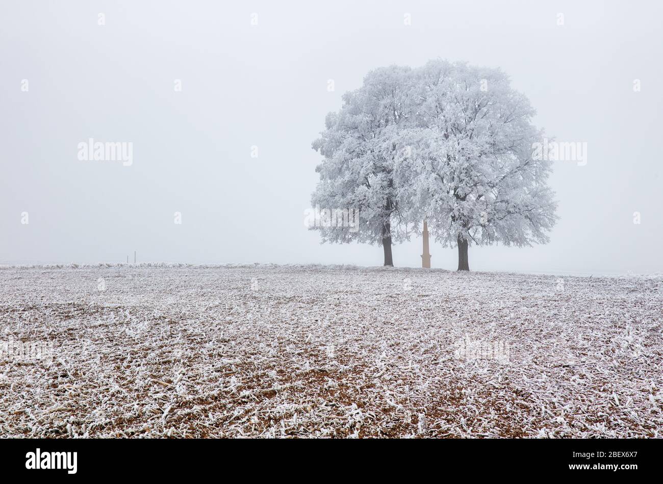 Big tree on meadow. Travel View Blue Heaven Paradise Earthly Life ...
