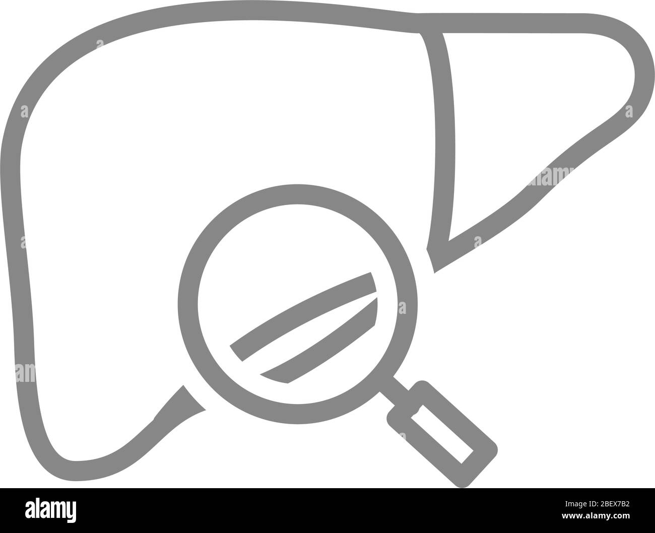 Liver with magnifying glass line icon. Organ research, disease ...