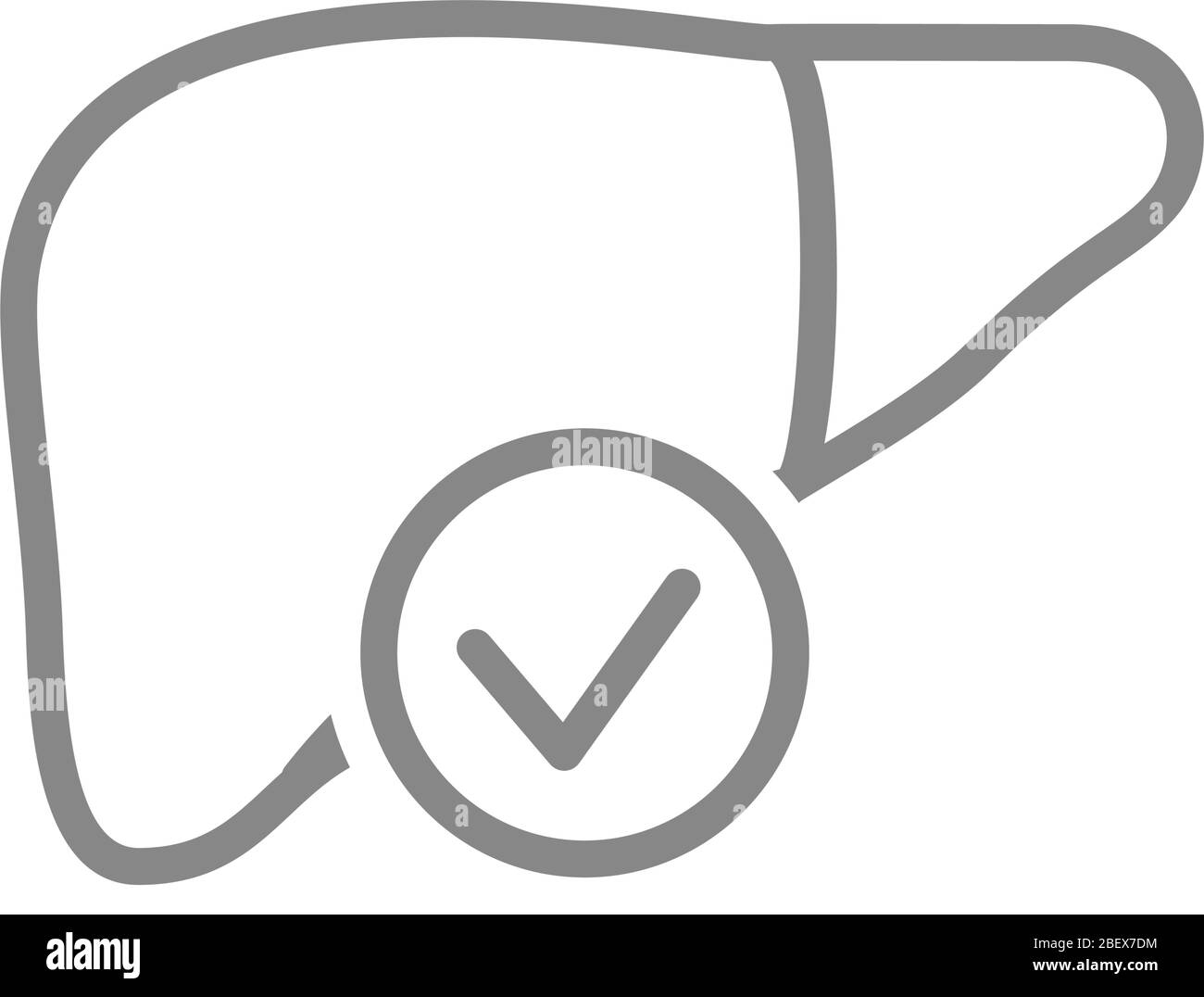 Liver with tick checkmark line icon. Healthy internal organ symbol ...