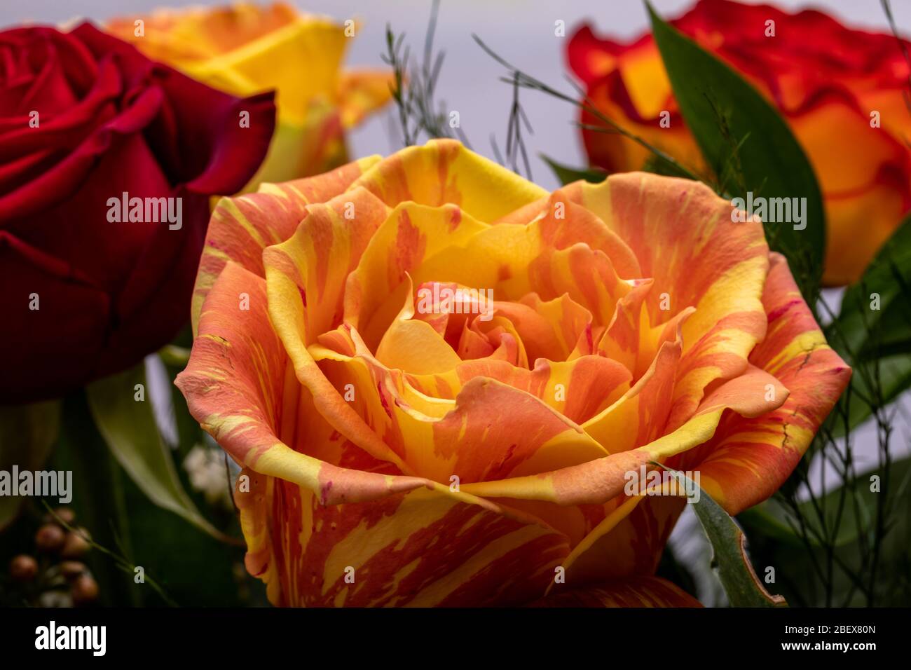 beautiful bouquet of colorful roses Stock Photo - Alamy