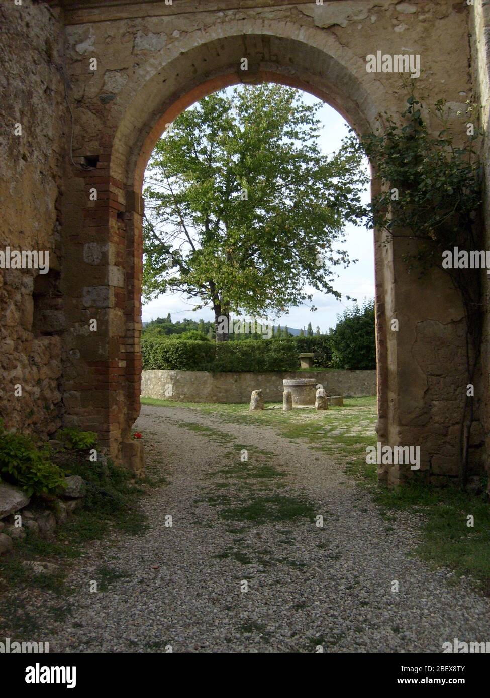 Tree through an arch hi-res stock photography and images - Alamy