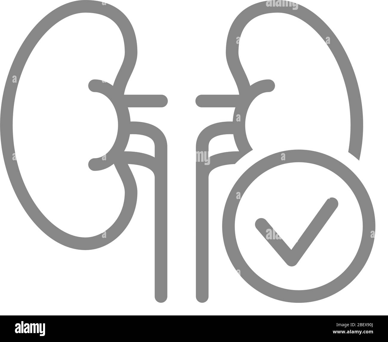 Kidneys with tick checkmark line icon. Healthy internal organ symbol ...