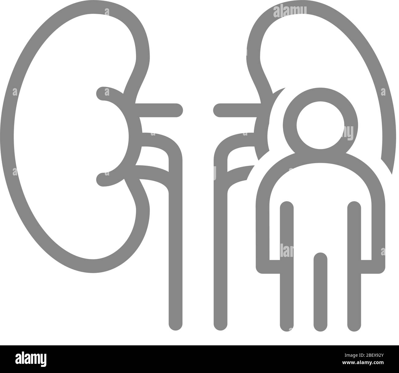 Kidneys with man line icon. Human organ for filtering blood symbol ...