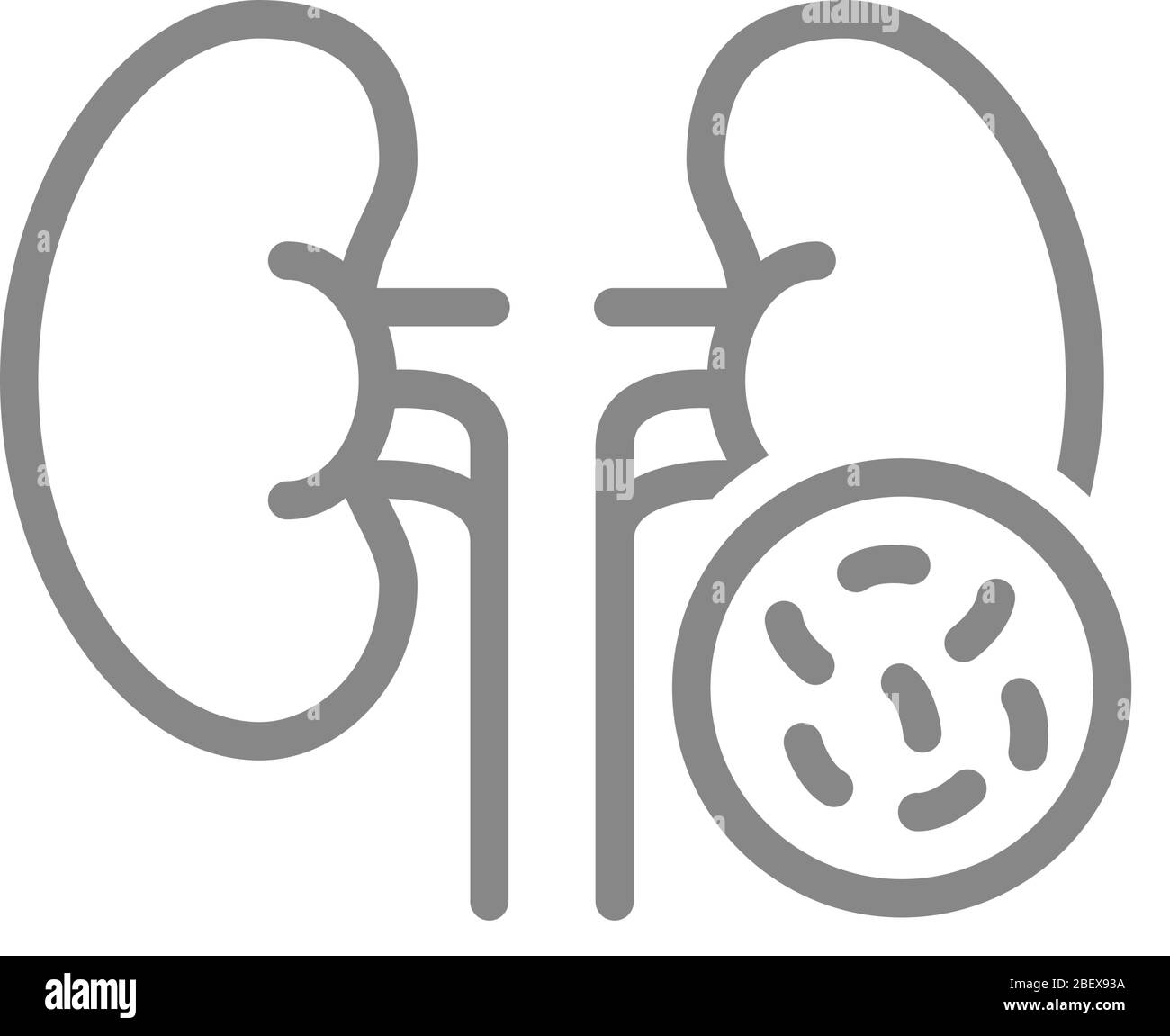 Kidneys with bacteria line icon. Diseased internal organ ...