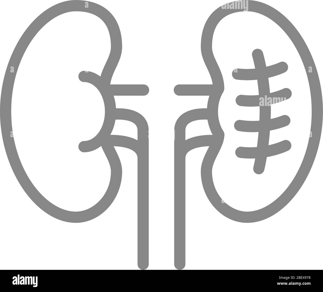 Scar on kidney line icon. Kidneys stone removal, internal organ surgery ...