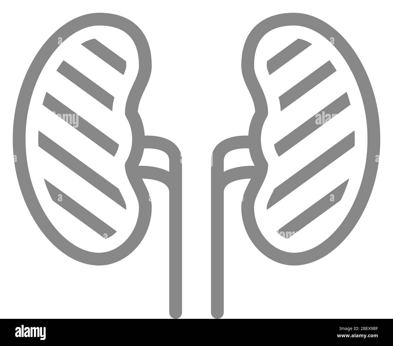 Renal cysts hi-res stock photography and images - Alamy