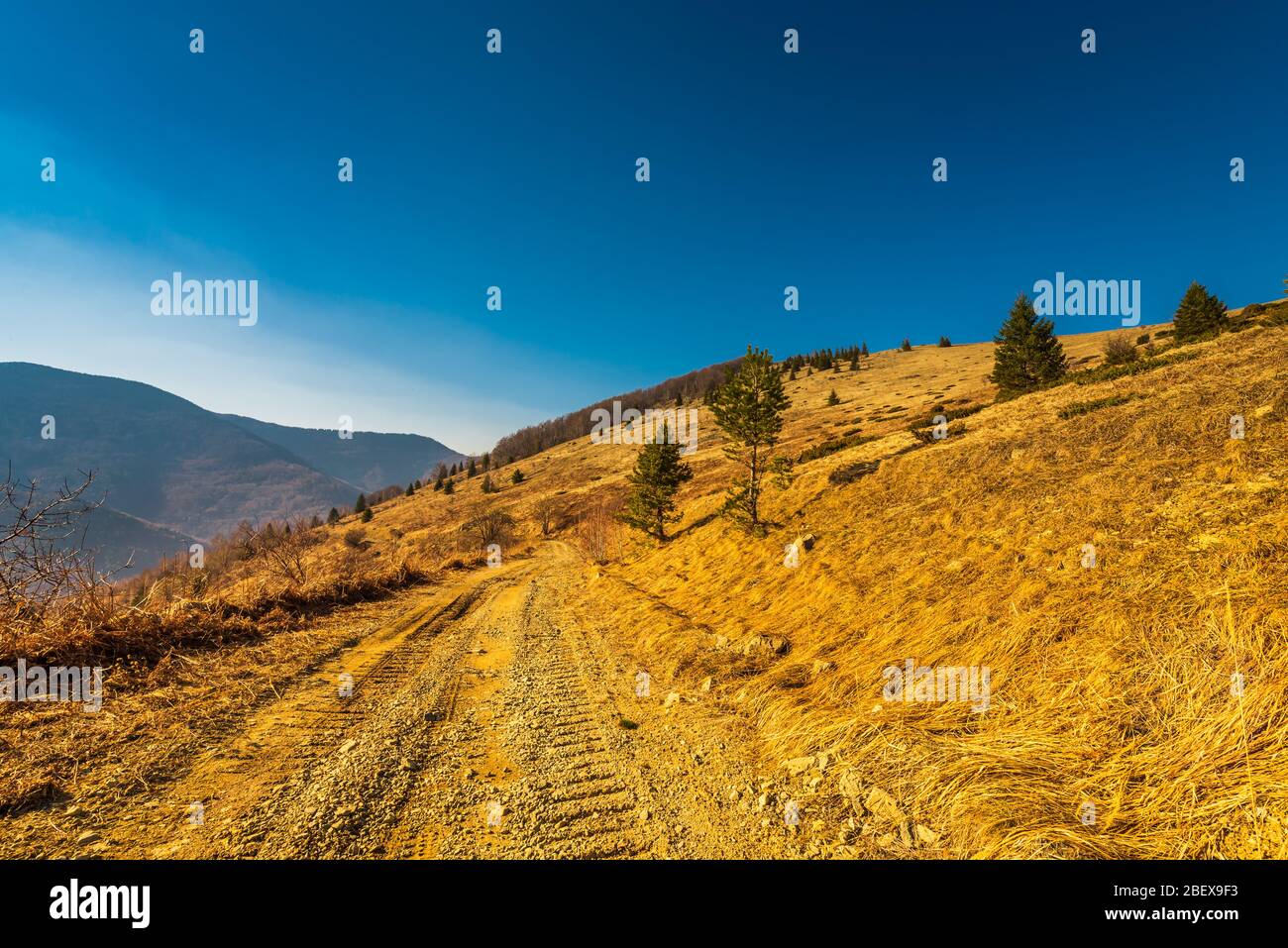 Balkan nature reserve hi-res stock photography and images - Alamy