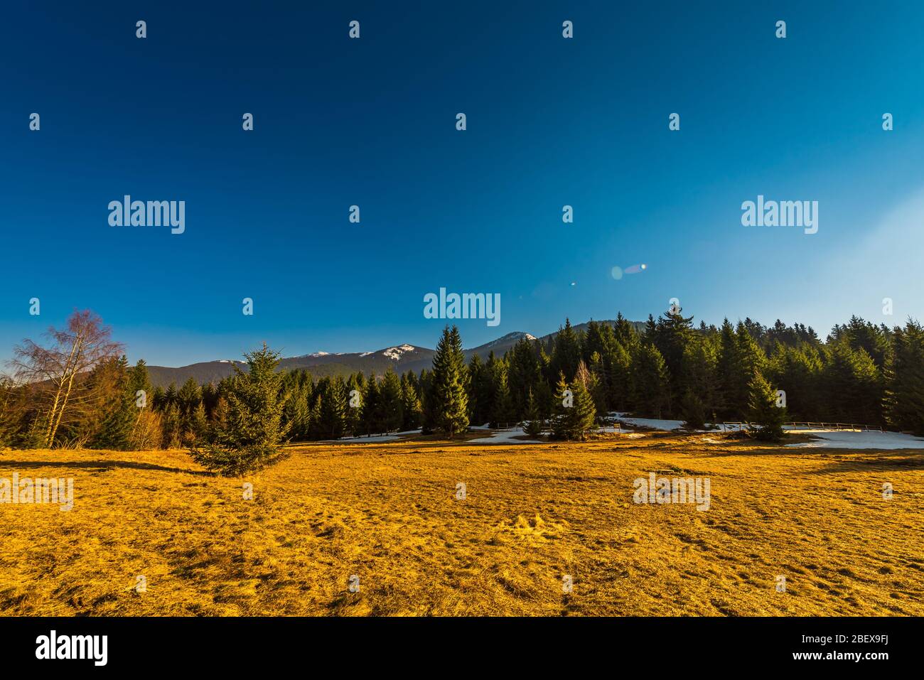 Amazing view of the beautiful biospheric Nature Reserve in Chuprene ...