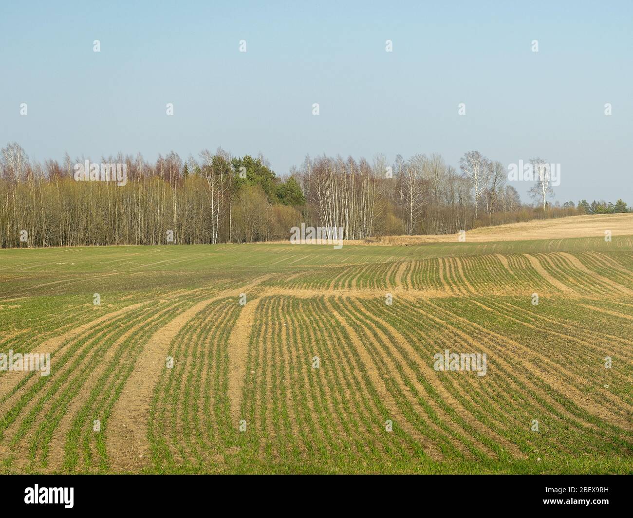 sunny spring landscape with countryside, early spring Stock Photo - Alamy