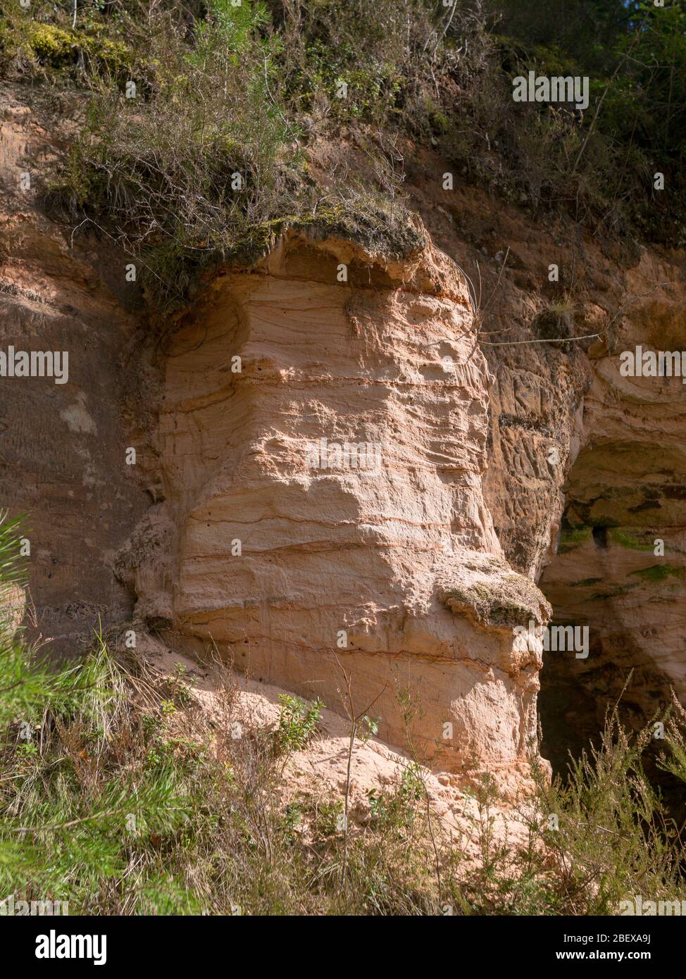 picture with a sandstone wall and tree roots, a cave covered with moss ...