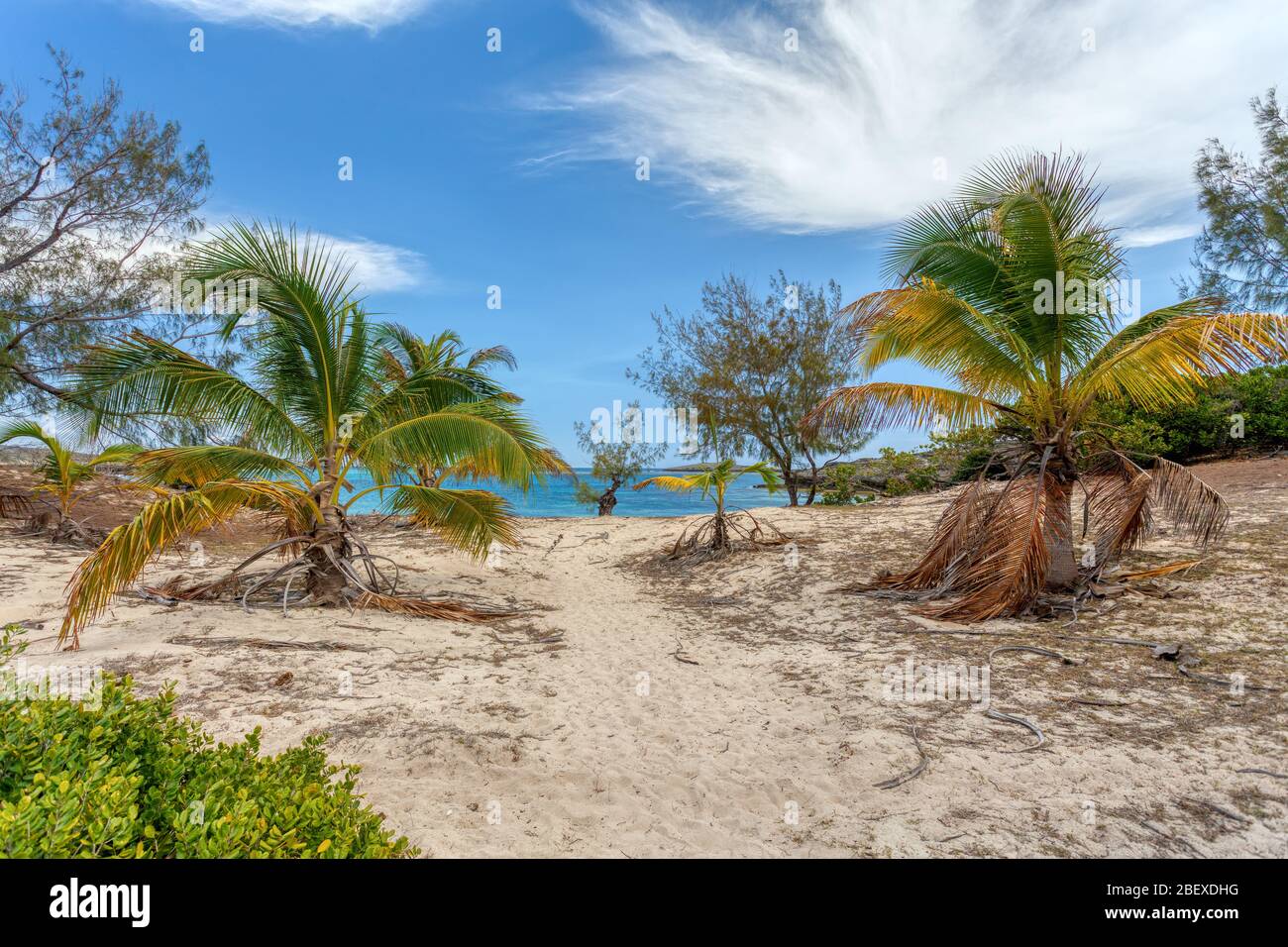 sand beach in Antsiranana with palms, Diego Suarez bay landscape ...
